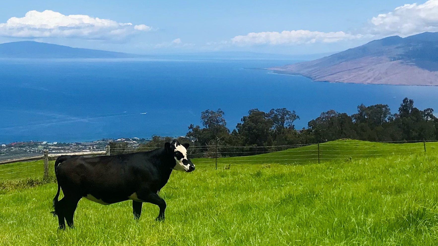 Sustainable Energy – Ulupalakua Ranch Store