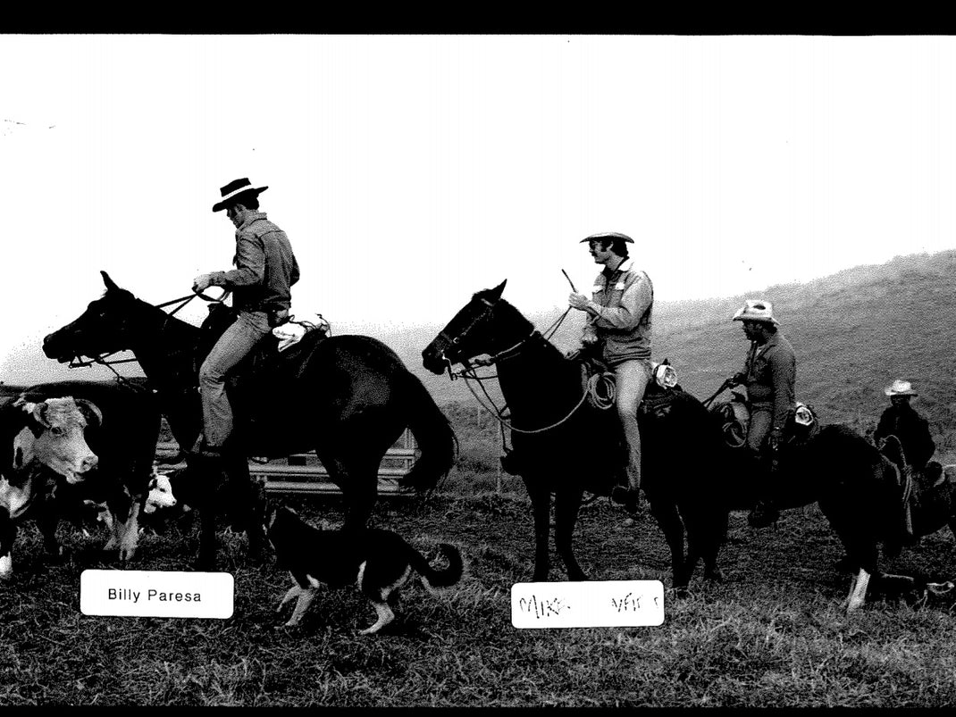 Paniolo Culture – Ulupalakua Ranch Store