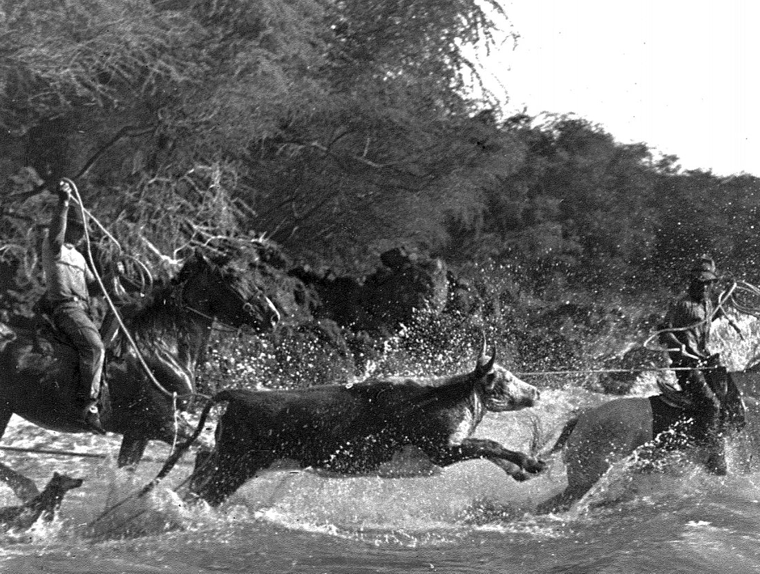 Our History – Ulupalakua Ranch Store